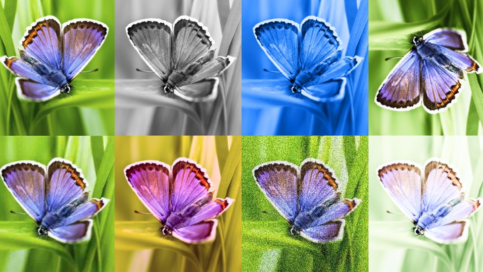 Google Tests New Tool To Watermark, Identify AI Images Google Tests New Tool To Watermark, Identify AI Images